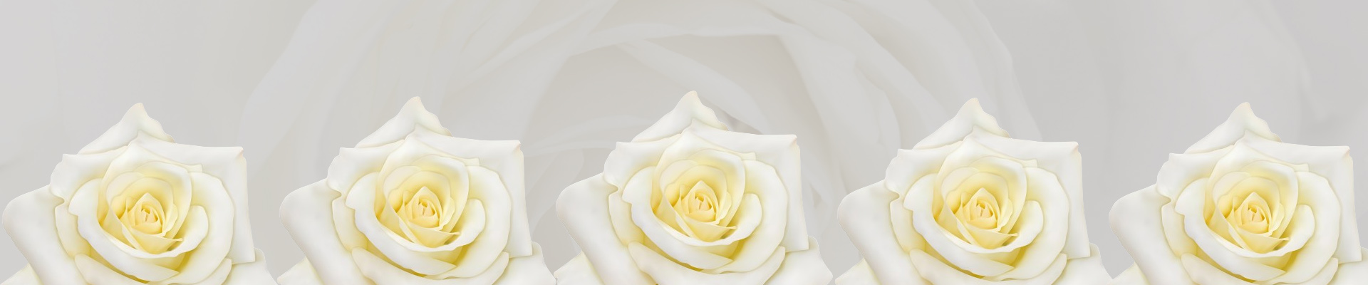 Celebrating the Life of Dr. Marcella Maxwell - Greater New York Chapter of the Links, Inc.